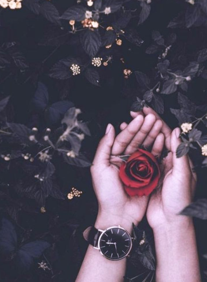 Elite Ensemble - TeeShopper